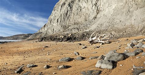 Shifting How Scientists Conceived Prehistoric Life The Story Of Mary