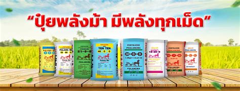 เกษตรไทยปลอดภัยไร้สารเคมี ไม่มีเหตุผลต้องหลอกลวง ผลผลิตดี เงินก็มา 🌿 เราพิสูจน์แล้ว 🌿