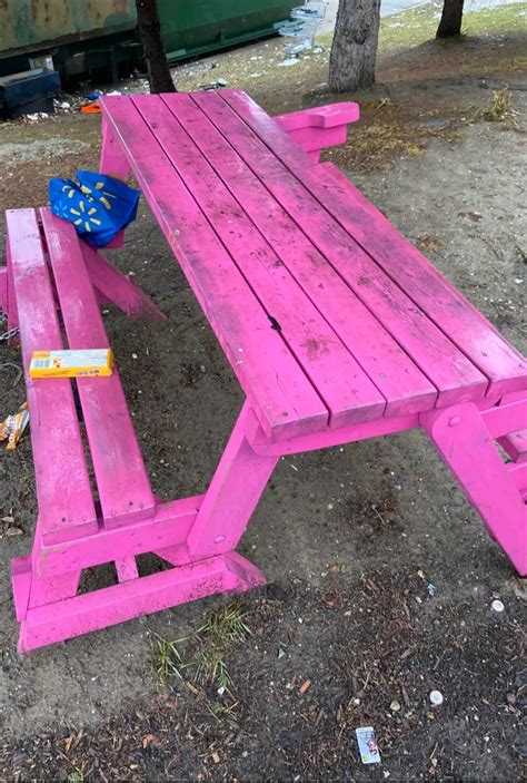 Inferior Temporal Cortex R Okbuddybaka