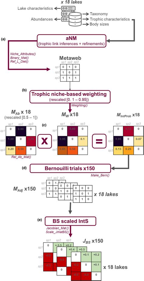 Methodological Workflow For Food‐web Reconstruction Letters From A