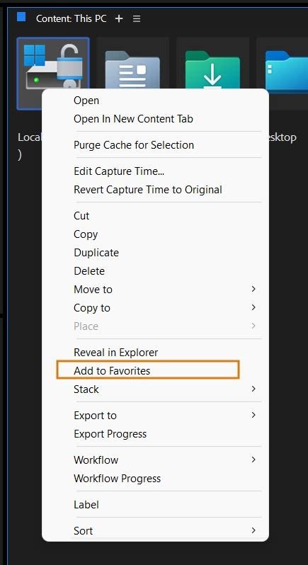 How To Use The Adobe Bridge Panels And Manage Workspaces