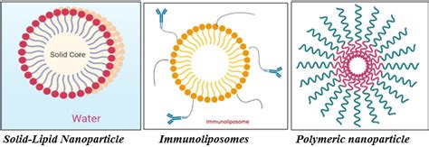 Commonly Used Nano Formulations Download Scientific Diagram