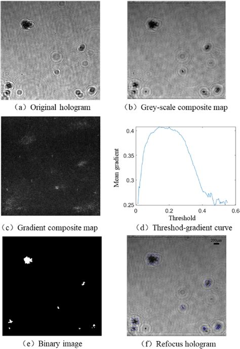 schematic of particle identification process download scientific diagram