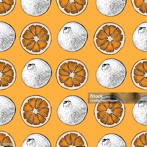 오렌지 벡터 완벽 한 패턴입니다 손 컬러 바탕에 오렌지 귤 관화의 잘라 진된 조각으로 개체를 그려 여름 감귤 스타일 그림 낙서
