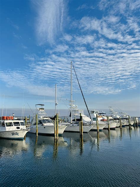 Twin Dolphin Marina Added A New Twin Dolphin Marina