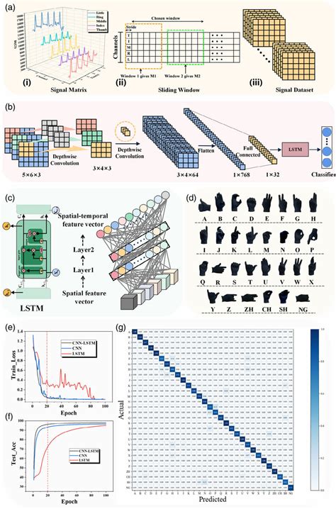 A Formatting And Creation Of The Gesture Dataset For The CNN LSTM Download Scientific Diagram