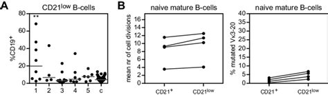 Frequency And Proliferation History Of Cd21 Low B Cells In Cvid