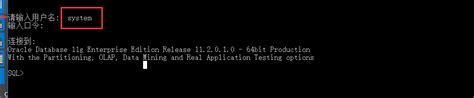 oracle数据库安装及使用navicat连接oracle navicat可以连接oracle吗 csdn博客