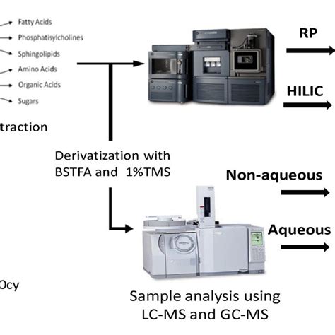 analytical workflow from sample preparation to multiplatform analysis