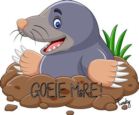 Pin By Pam Van Zyl On Tweetys Creations Cartoon Mole Mole Animals