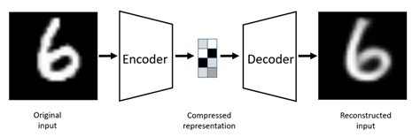 Autoencoders Unlocking Datas Hidden Patterns Corpnce