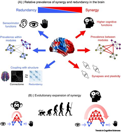 Information Decomposition And The Informational Architecture Of The