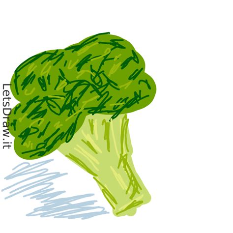 How To Draw Broccoli Nke1mxngj Png LetsDrawIt
