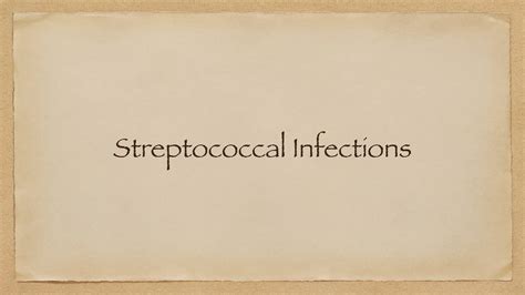 Streptococcal Infections Streptococcus Pdf