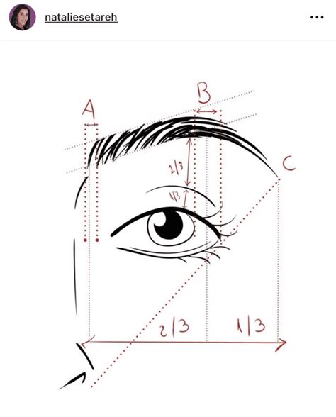 How To Apply Eyeshadow Like A Pro Every Time Natalie Setareh