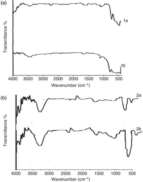 Ftir Spectrum Showing The Traces Of Coating Of Peg And Paa On The Download Scientific Diagram