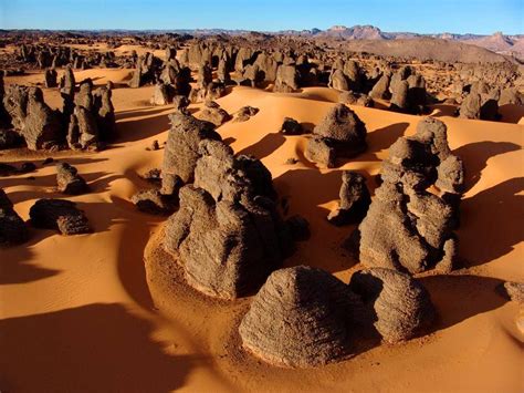 Tassili Najjer Guide Algérie Harba Dz