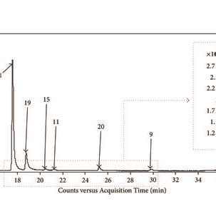 A Total Ion Chromatogram Obtained By GC QTOF MS B Base Peak Download Scientific Diagram