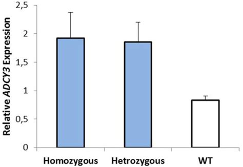 Relative Gene Expression From CDNA Of Homozygous And Heterozygous Download Scientific Diagram