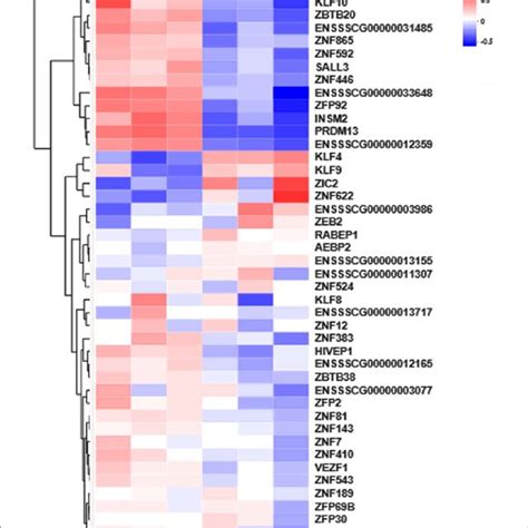 The Features Of The Expression Of Long Noncoding Rnas Lncrnas Mrnas