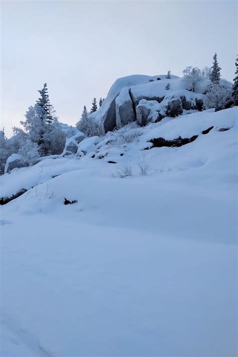 Back Bay A Hindquarter Of Yellowknife Bay The Local Saili… Flickr