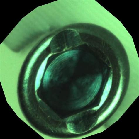 Head Profile V1 Instance Segmentation Dataset By Mirinae