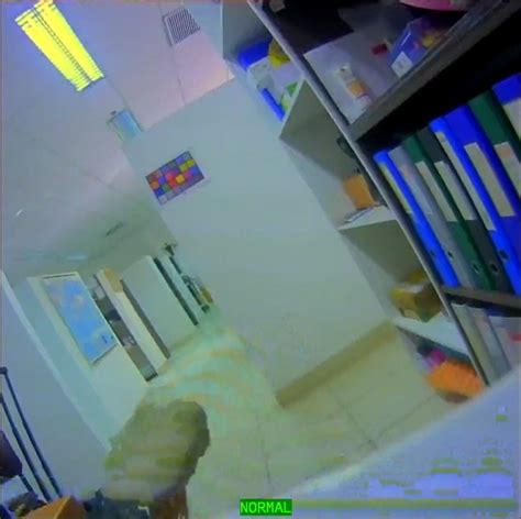 Dm8127 And Ipncrdk And Ar0331 Colors Are Too Bright And Saturated Smear Marks With Motion