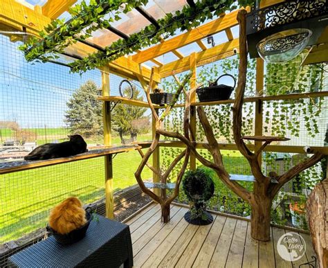 13 Catio Design Ideas For Your Purry Friend Artofit