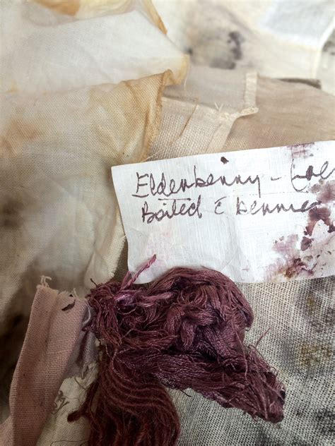 How To Create Stunning Dyes From Your Garden Plants The Middle Sized