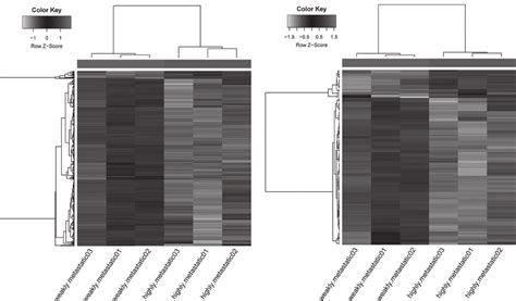 The Heatmap For Differentially Expressed Genes And Differentially Download Scientific Diagram