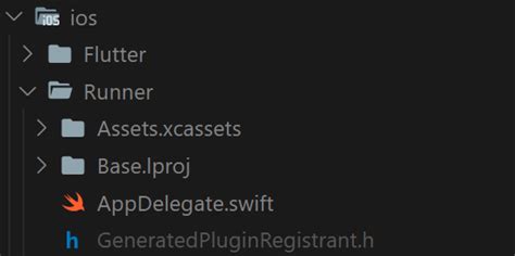 Calling Ios Native Code In Flutter Apps Developer Blog