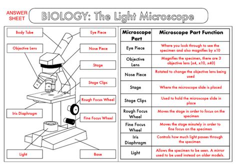 Gcse Biology Microscope Answer Sheet Pdf