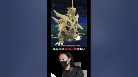 마스터리그 메가 마기라스 칠색조 뮤츠 너넨 나 못 이겨💪👀 포켓몬고 Youtube