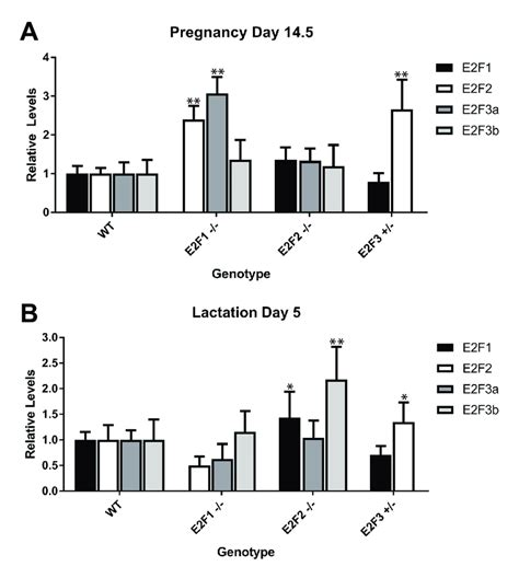 Compensation During Mammary Gland Function The Levels Of E2f1 E2f2 Download Scientific