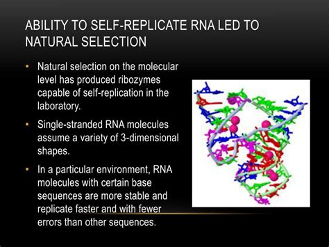Ppt History Of Life On Earth Powerpoint Presentation Free Download Id 3120281