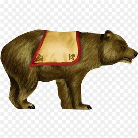 手绘熊素材png图片素材下载 图片编号7637995 Png素材网
