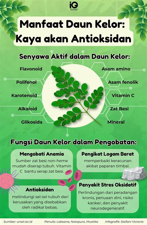 Infografik Manfaat Daun Kelor Kaya Akan Antioksidan Universitas Airlangga Official Website