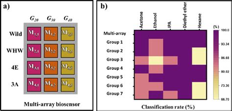 Comparison Of The Classification Success Rate Of The Download Scientific Diagram