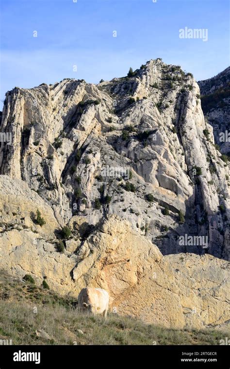 Anticline And Syncline Folds This Photo Was Taken In Aliaga Geopark Teruel Province Aragon