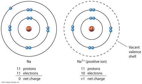 Cation Diagram Ap Chemistry Concept Review
