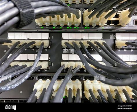Ethernet Cables Connected To The Network Equipment Stock Photo Alamy