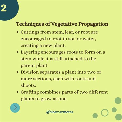 Vegetative Propagation By Cutting Bio Smart Notes