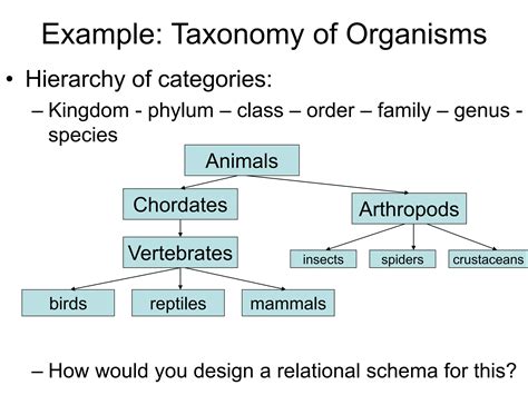 Relational Database Management Introductionppt