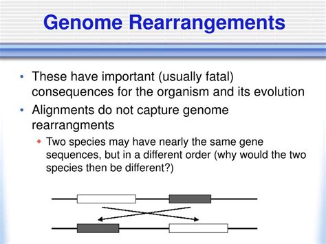 Ppt Genome Rearrangements Powerpoint Presentation Free Download Id1757984