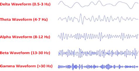 Different Eeg Waveforms [39] Download Scientific Diagram