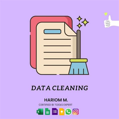 Clean Transform And Analyze Data By Myselfhariom Fiverr
