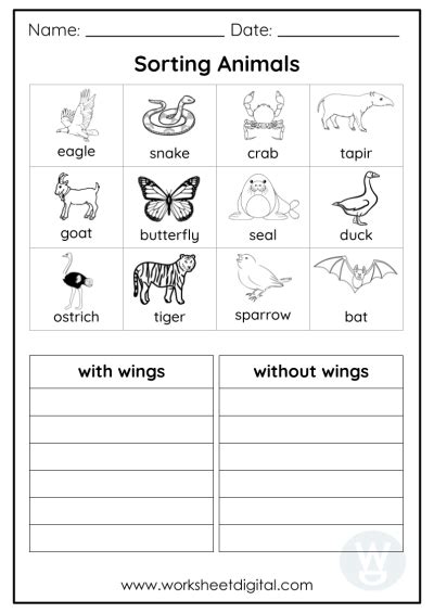 Grade 2 Science Worksheet Digital Worksheets Library