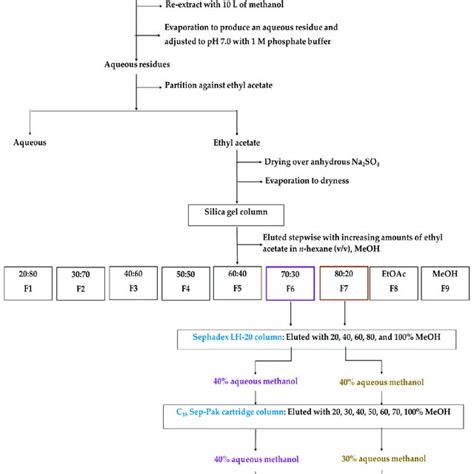 Procedure For Isolation And Purification Of Allelopathic Active Download Scientific Diagram