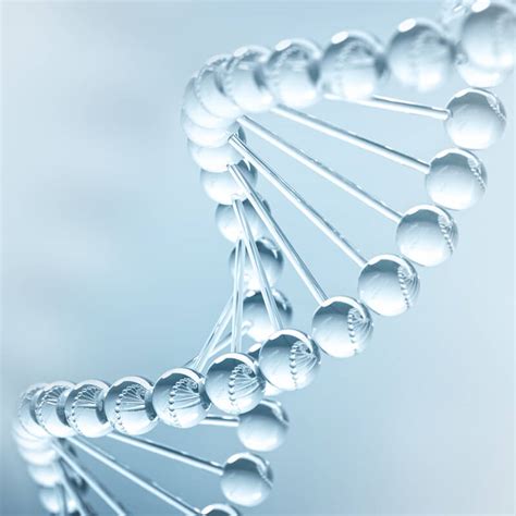 Recombinant Humanized Collagen Type Ⅲ Fengjin