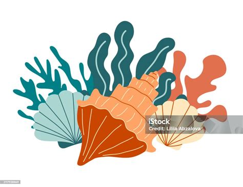 다양한 종류의 조류 해초 및 조개껍데기가 있는 산호초 트렌디한 컬러 디자인 플랫 스타일 가리비에 대한 스톡 벡터 아트 및 기타 이미지 Istock